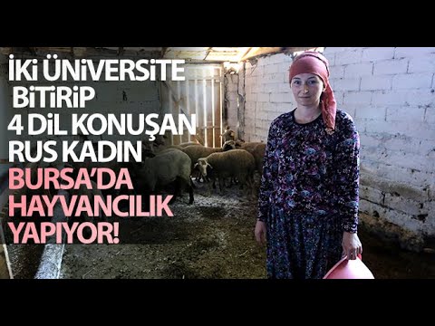 İki Üniversite Bitirip 4 Dil Konuşan Rus Kadın Bursa'da Hayvancılık Yapıyor