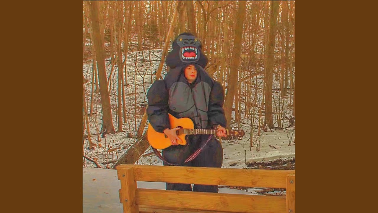 The Harambe Song - YouTube