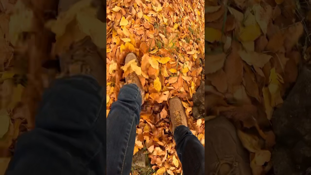 Rustling leaves: joy of sliding leaves 🍂 | #rustlingleaves # ...