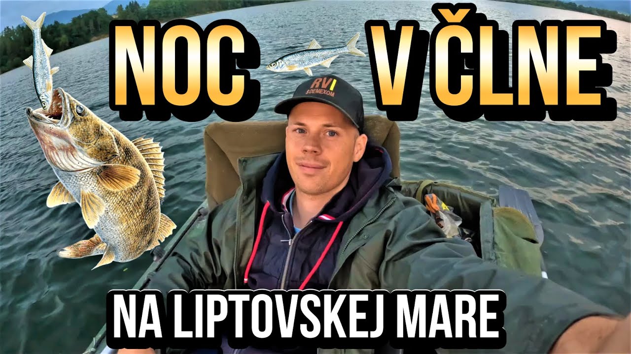 Lov na Živú Rybku a Peletu z Člna 🚣🐋 Lov Zubáča - Candáta Liptovská ...