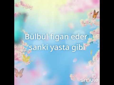 Gül yüzlüm  Gül destim