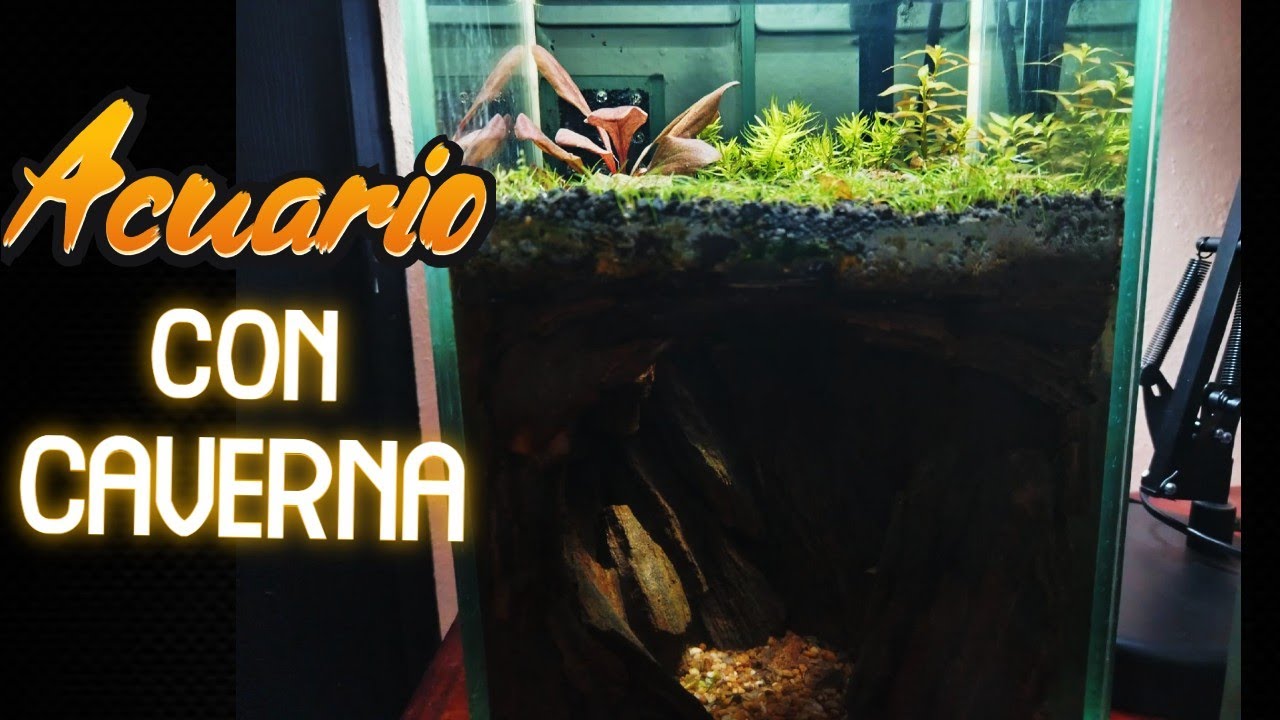 ACUARIO CON CAVERNA - YouTube