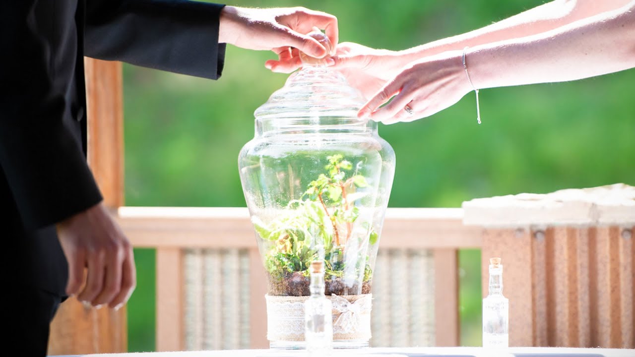 The MOST SPECIAL Terrarium EVER (Our Wedding) - YouTube