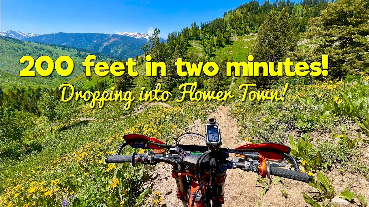 Wyoming single track, 200 feet in two minutes, the drop in! - YouTube
