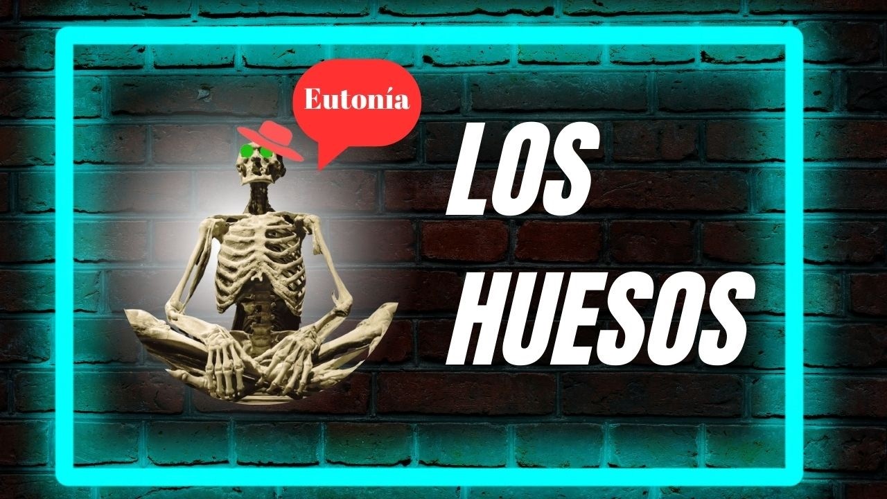 🔴¿Cómo sentir los huesos desde la eutonia y su impacto en vida ...