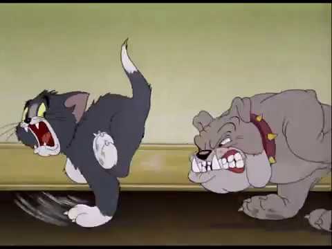 Tom and Jerry - Dog trouble - YouTube