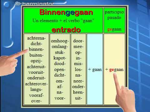 33b. practicar la conjugación del verbos compuestos - YouTube