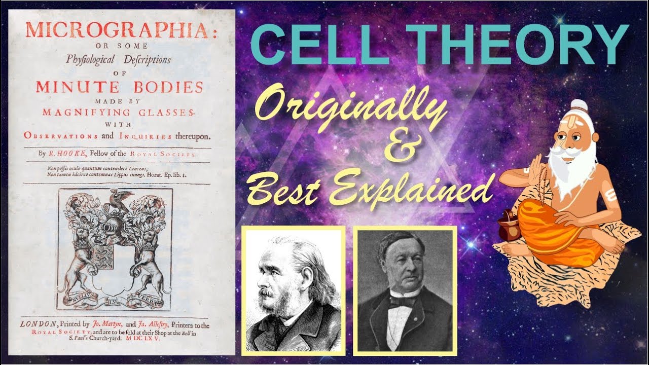 Cell Theory / Cell The Unit of Life / Classical Cell Theory / Modern ...