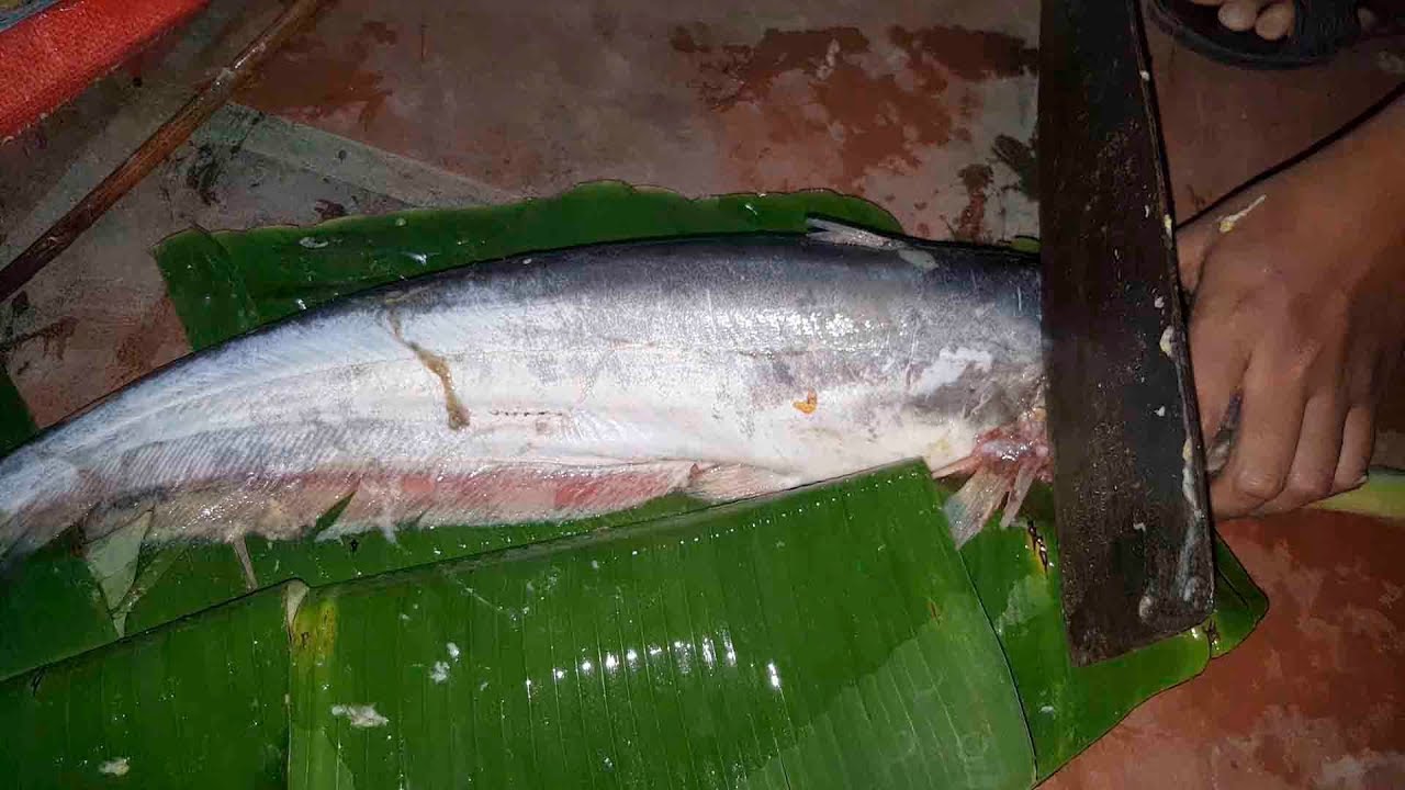 Mẹo làm sạch cá da trơn - YouTube