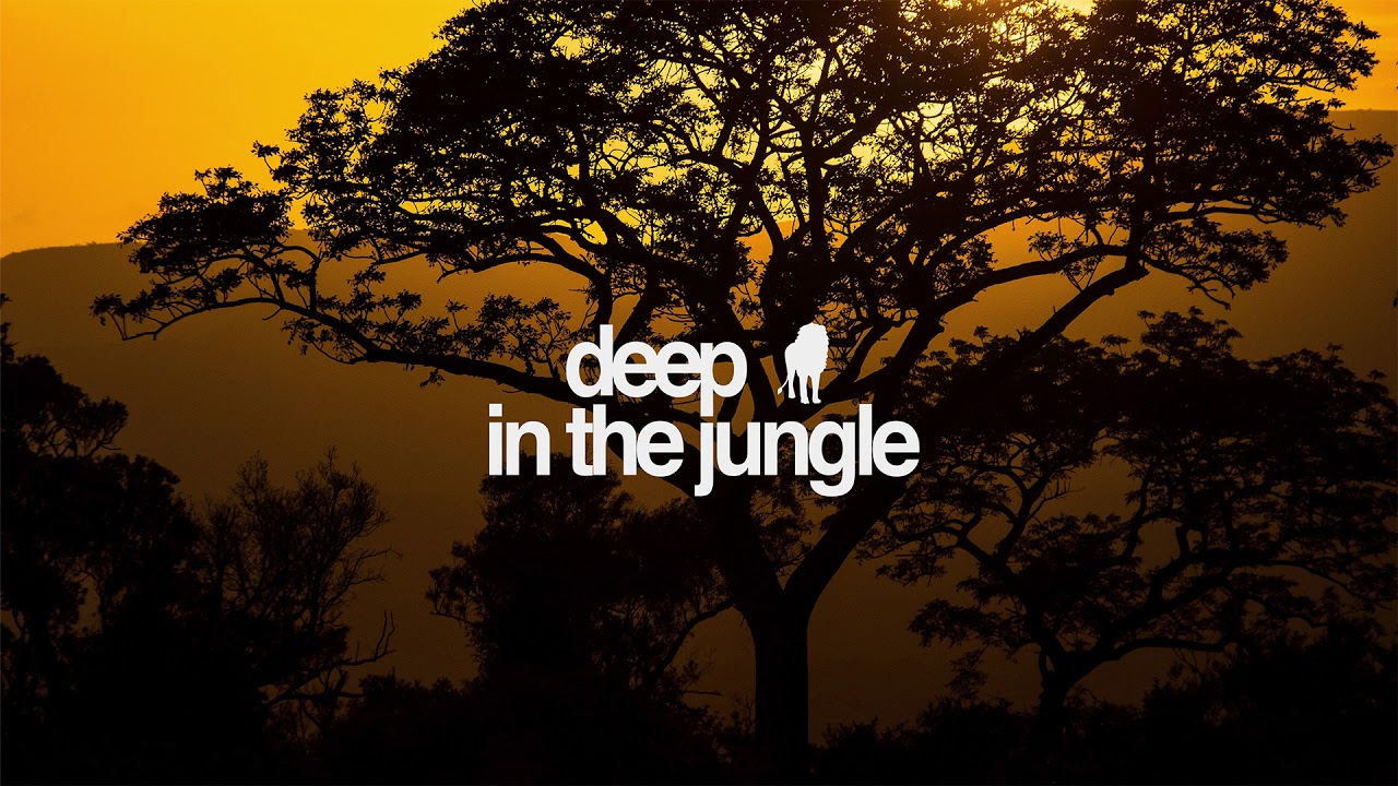 Deep in the Jungle - Episode 2 - YouTube