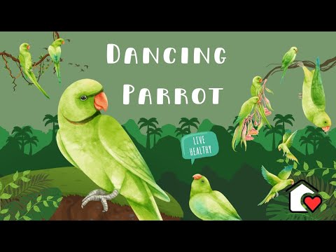 Dancing Parrot | Indian Wild Parrot Chirping Love ️ #dancevideo # ...