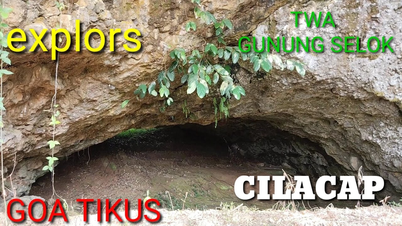 EXPLORS GOA TIKUS GUNUNG SELOK CILACAP - YouTube