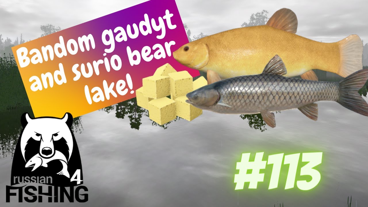 Auksinių lynų žvejyba ant surio! 1.2kg Auksinis lynas! #113 Russian ...