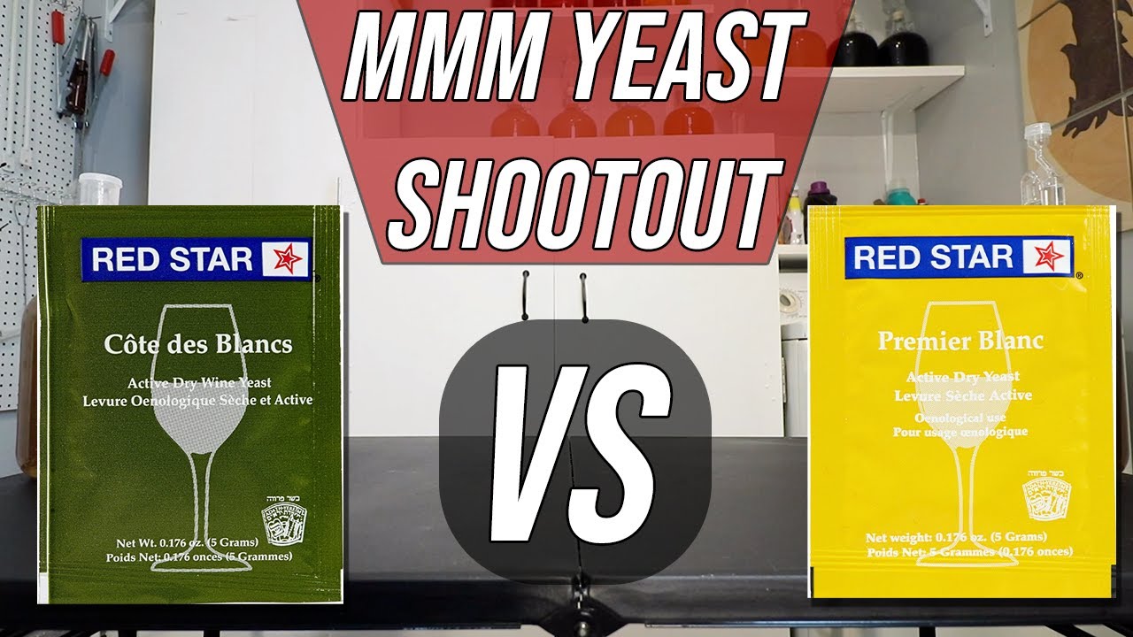 Yeast Shootout: Red Star Cote Des Blanc vs Premiere Blanc - YouTube