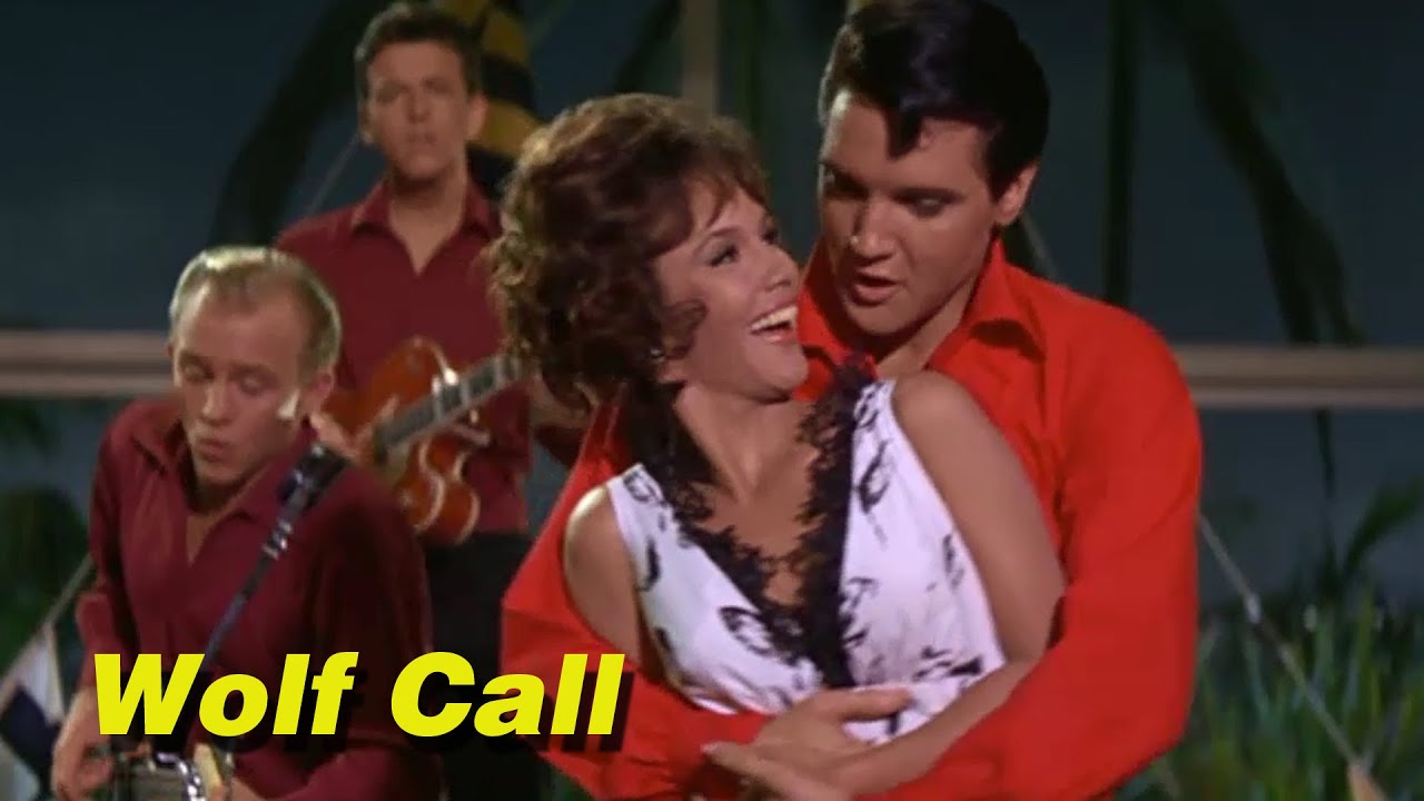 Wolf Call - Elvis Presley(영화 Girl Happy 중에서) - YouTube