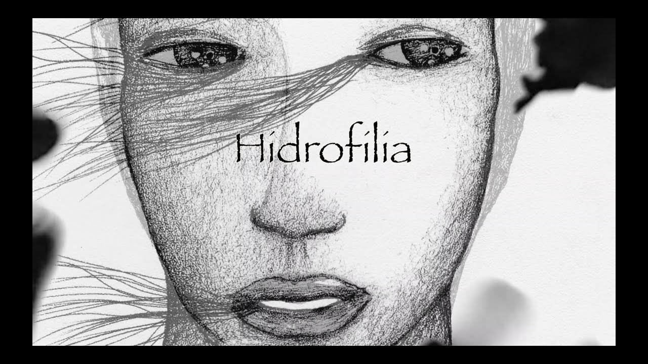HIDROFILIA (Tarantelas aquáticas) - YouTube