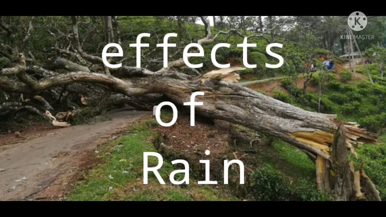 effect of rain - YouTube