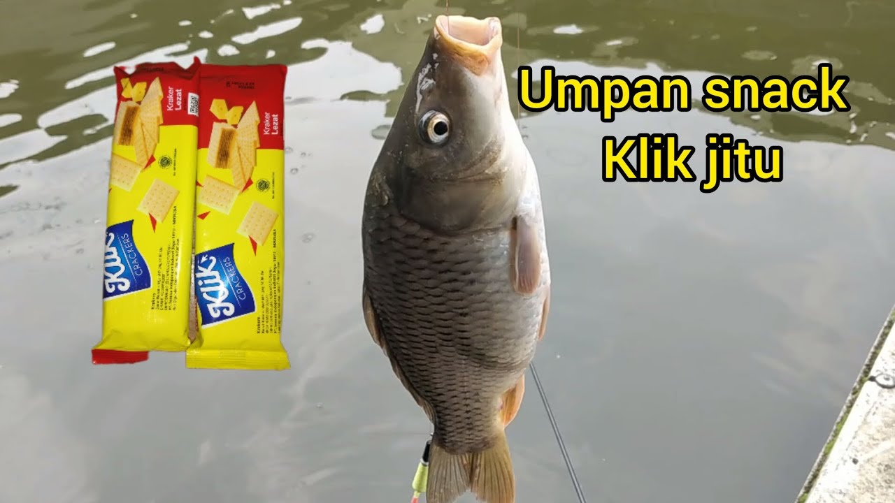 UMPAN SNACK KLIK JITU //MANCING SPOT KOLAM - YouTube