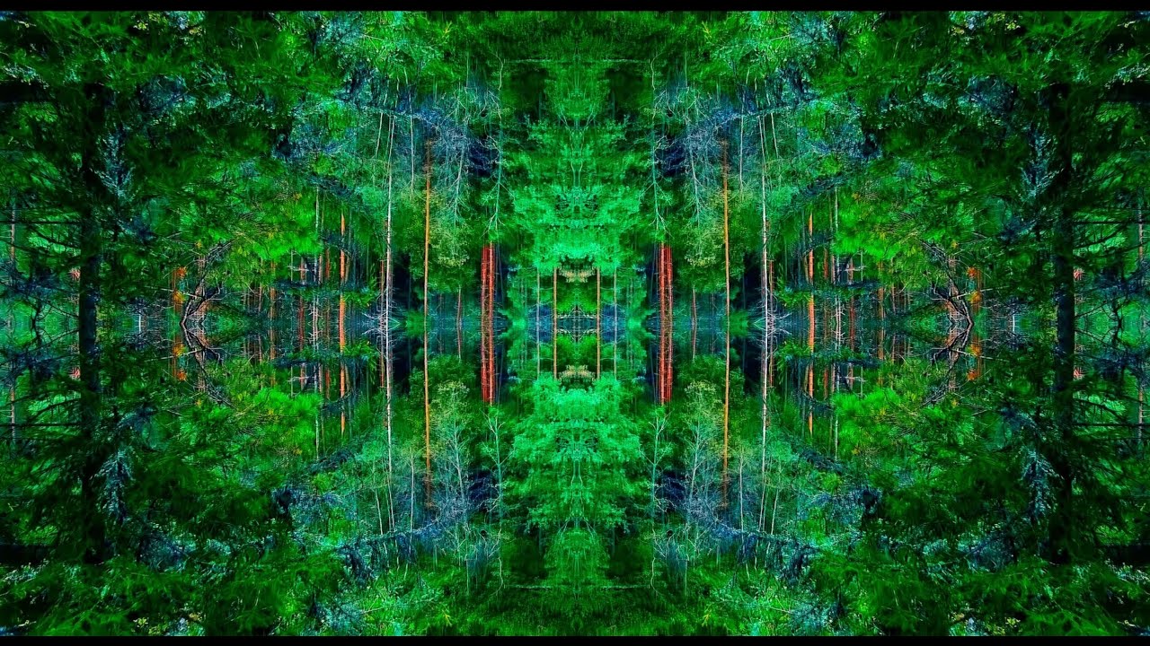 Mushroom Trip Experience (Trippy Video) - YouTube