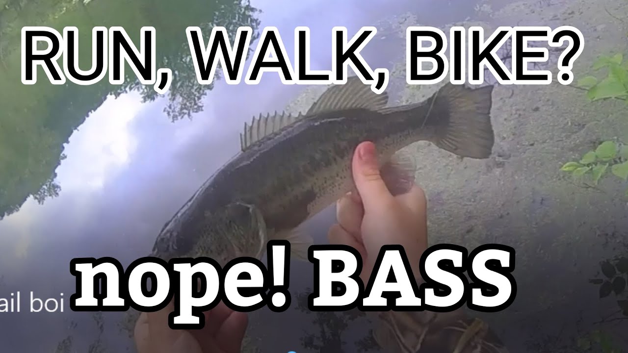 Erwin Linear Trail bass success! (Fishing the "Bass Pond") - YouTube
