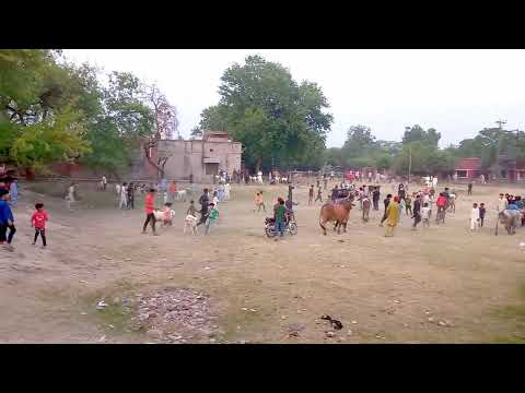 Me in park  rash bakray hi bakray waray hi waray 😎