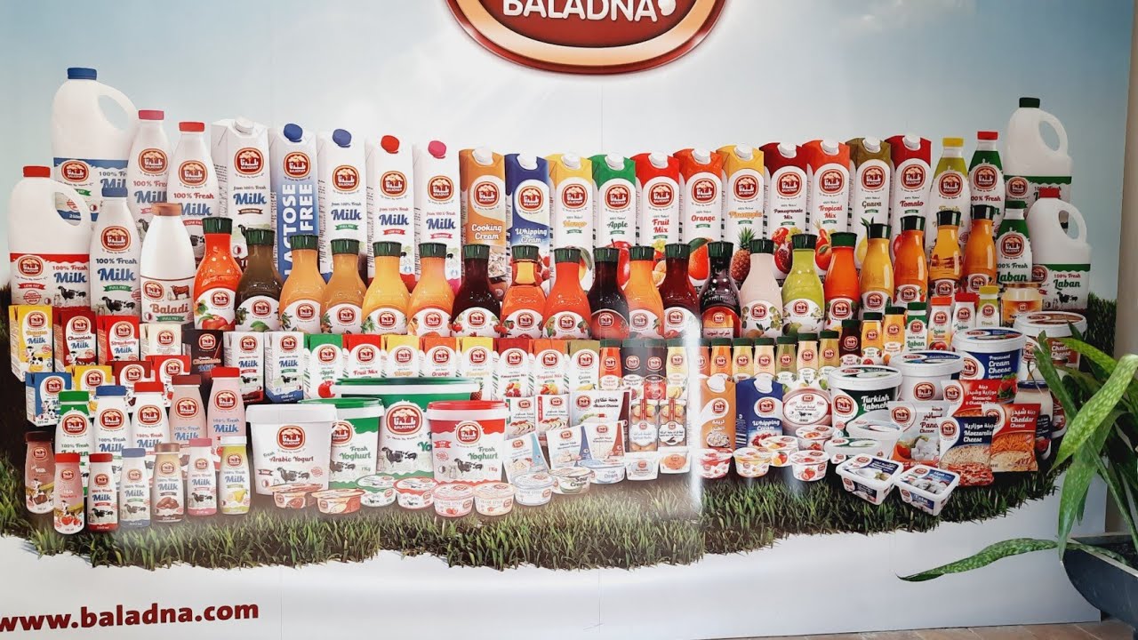 Baladna Farm. Visiting our Family Tour. Mini Zoo, Cow milking and ...