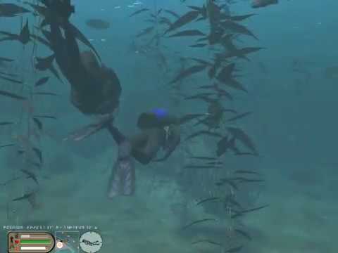 eDiving Virtual BuddyDiving - YouTube