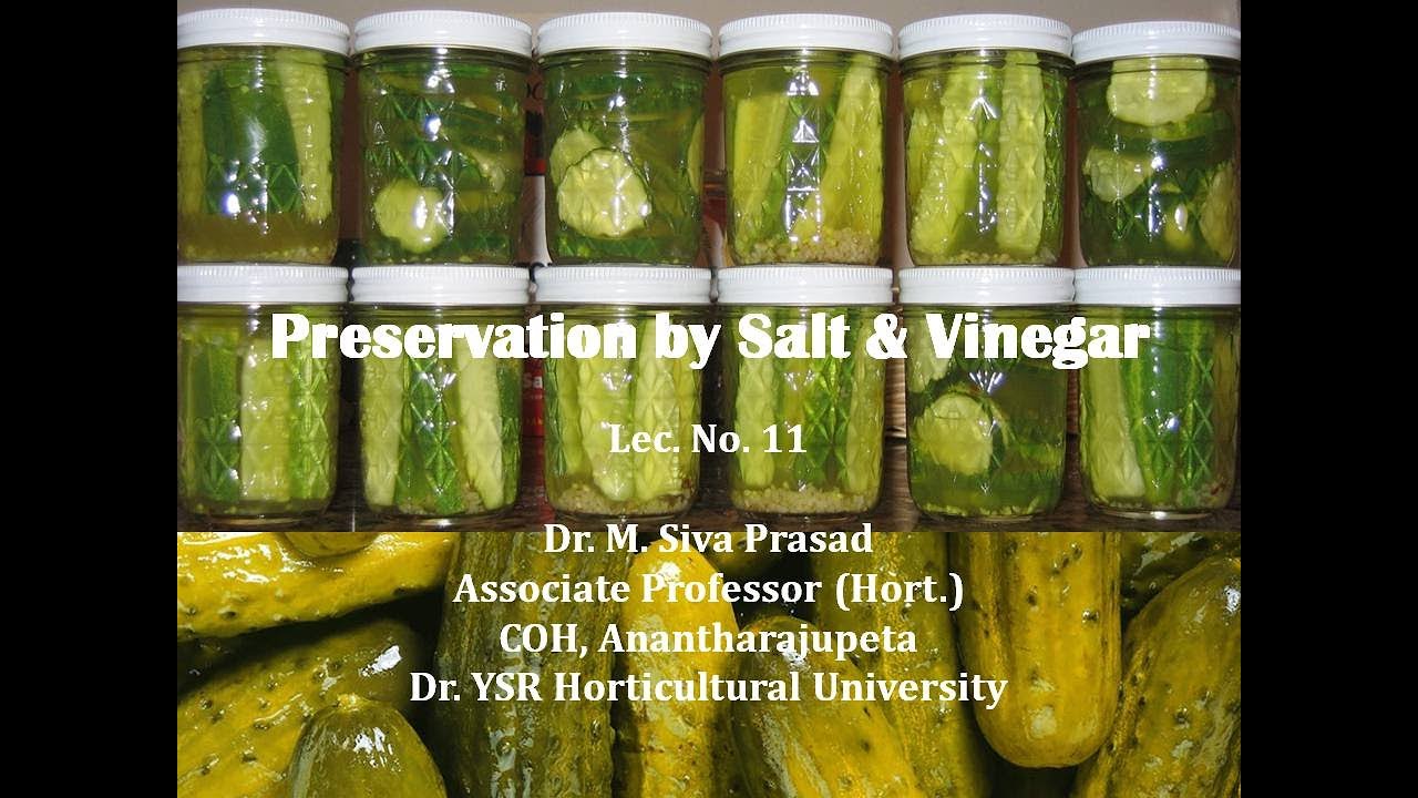 Preservation by Salt & Vinegar - Pickles - YouTube
