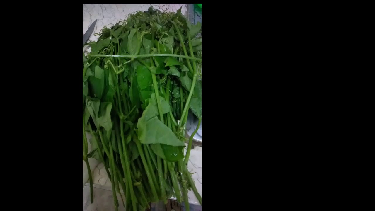 Dahon ng Sayote na may Bagoong na isda. - YouTube