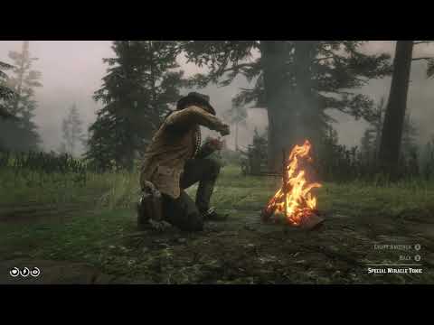 RDR 2:Herbalist Challenge 7 - Craft 5 Special Miracle Tonics - YouTube