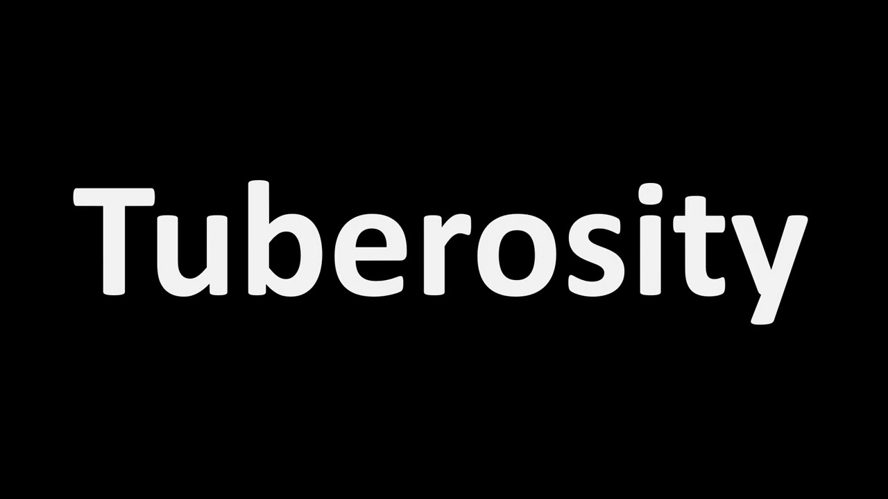 How to Pronounce Tuberosity - YouTube