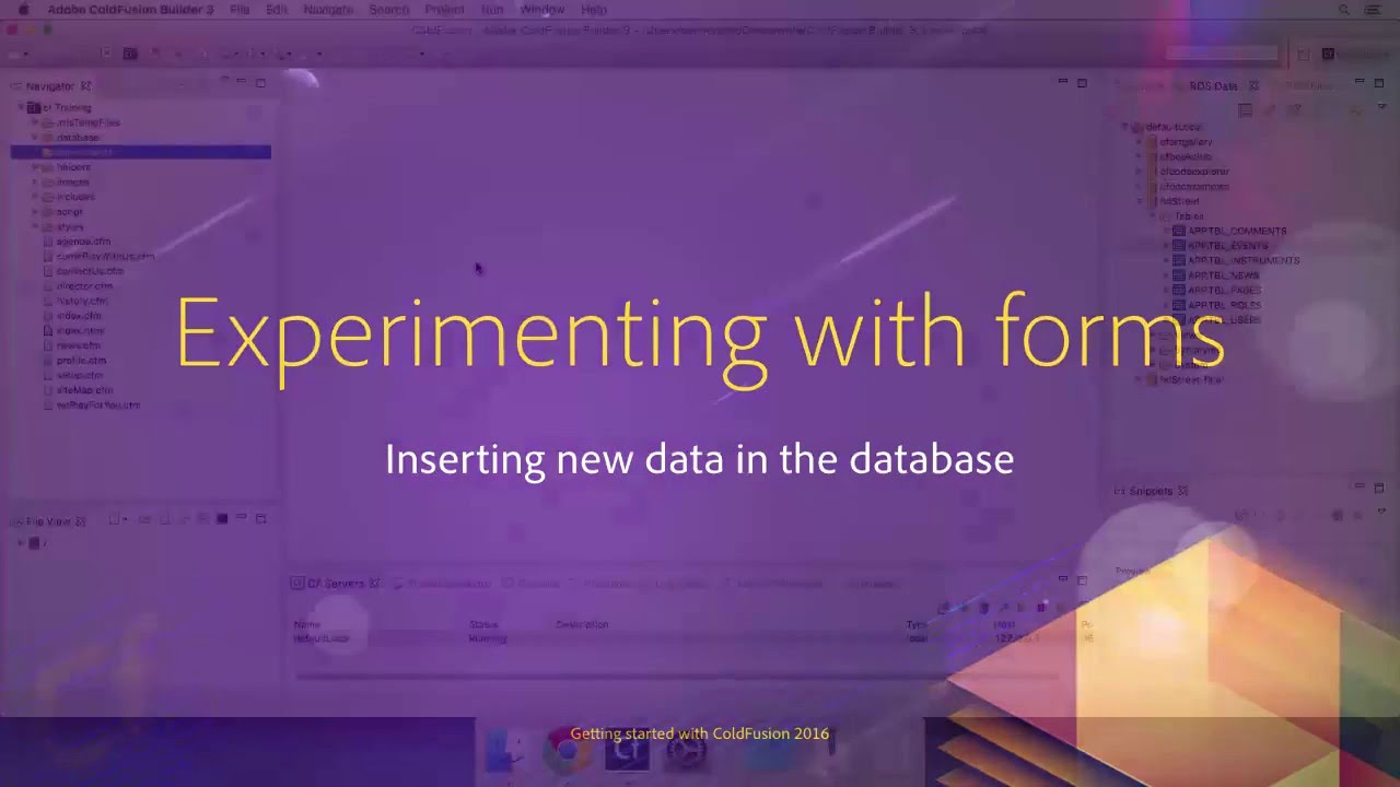 06 Inserting New Data In The Database 02 Experimenting With Forms