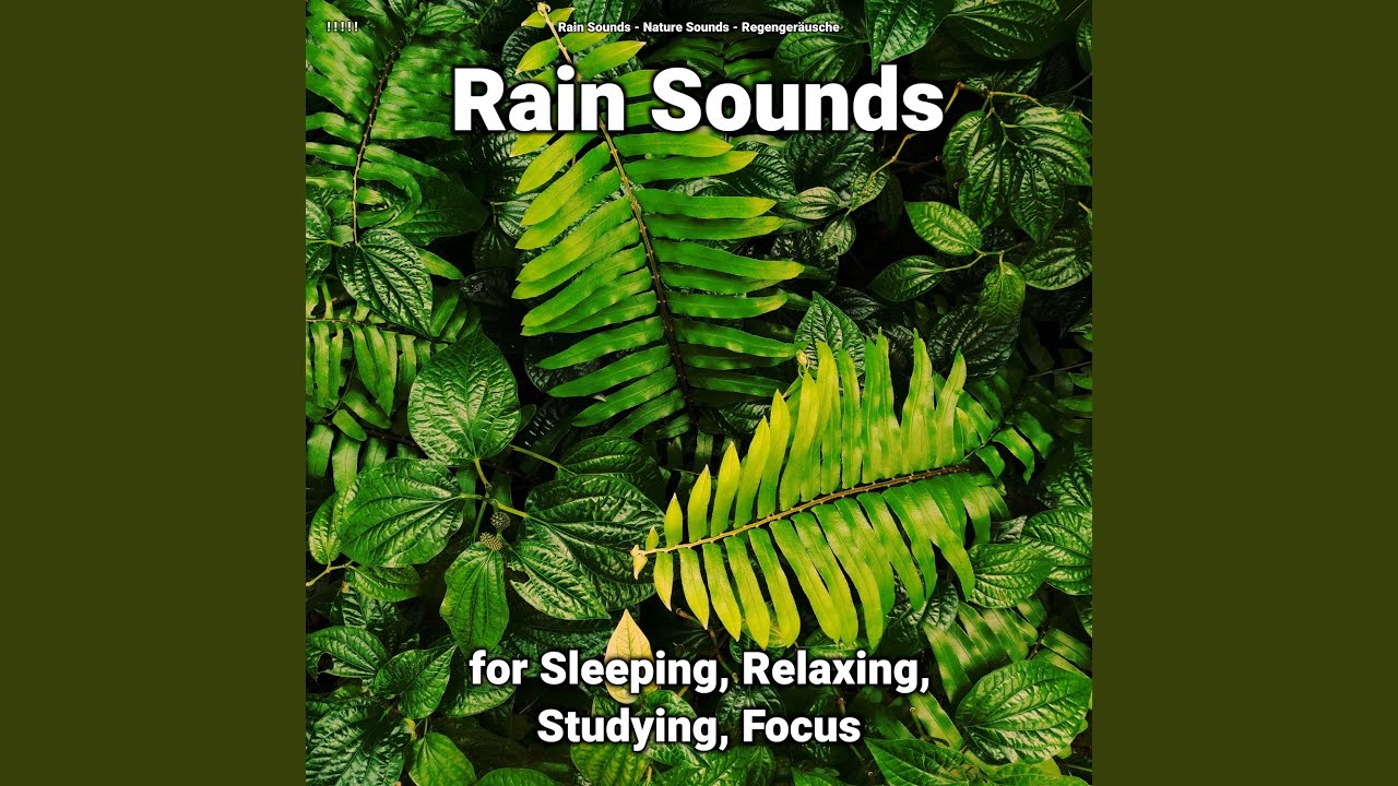 Rain Sounds to Fall Asleep To - YouTube