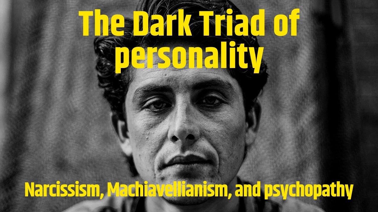 The Dark Triad of personality: Narcissism, Machiavellianism, and ...