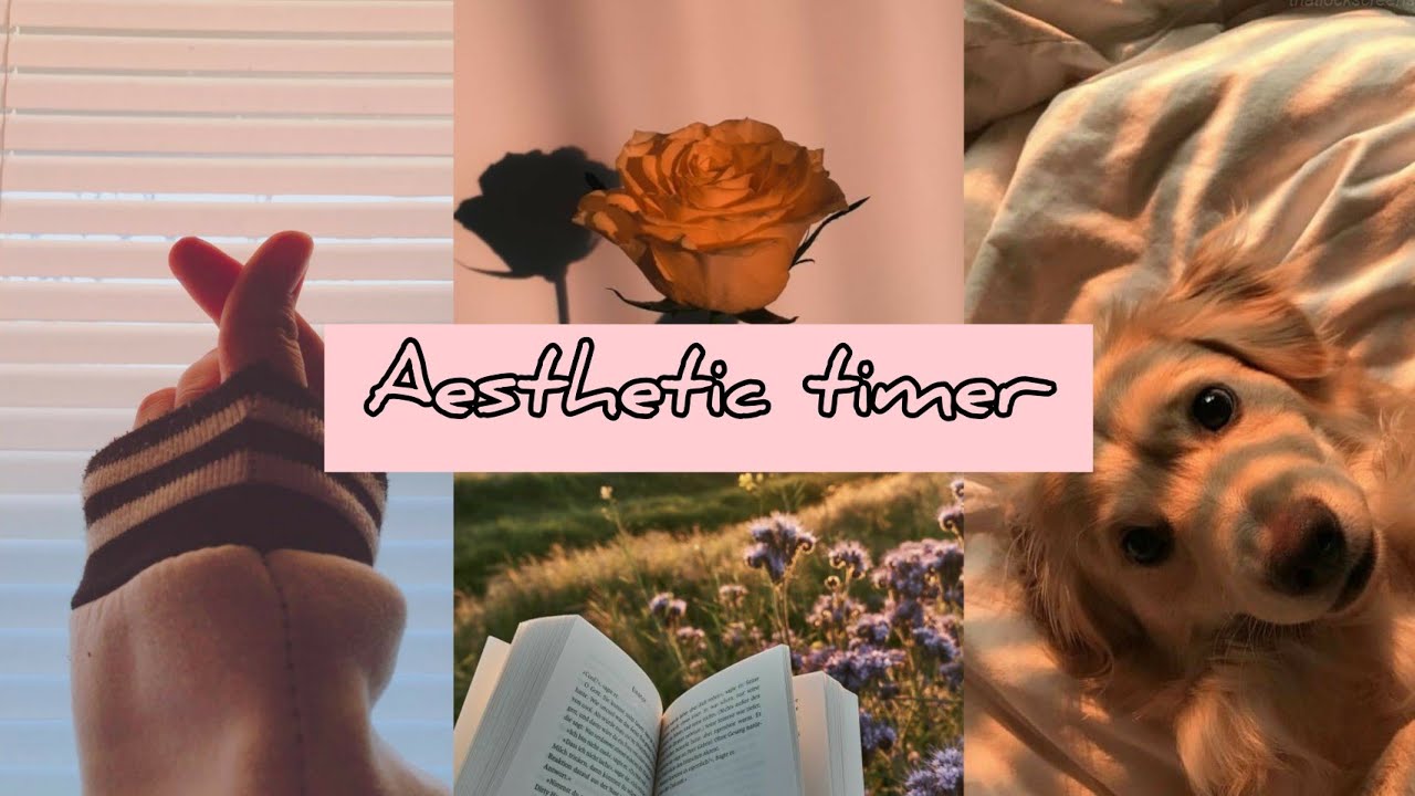 🌸 Aesthetic timer 🌸 | 25 min | Pomodoro timer #aesthetic #productive # ...
