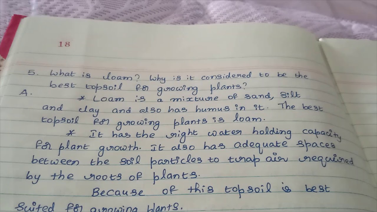 Class 7 Science Notes Chapter 10 Soil Ratna Sagar Living Science Text Class 7 Science Notes Chapter 10 Soil Ratna Sagar Living Science Text