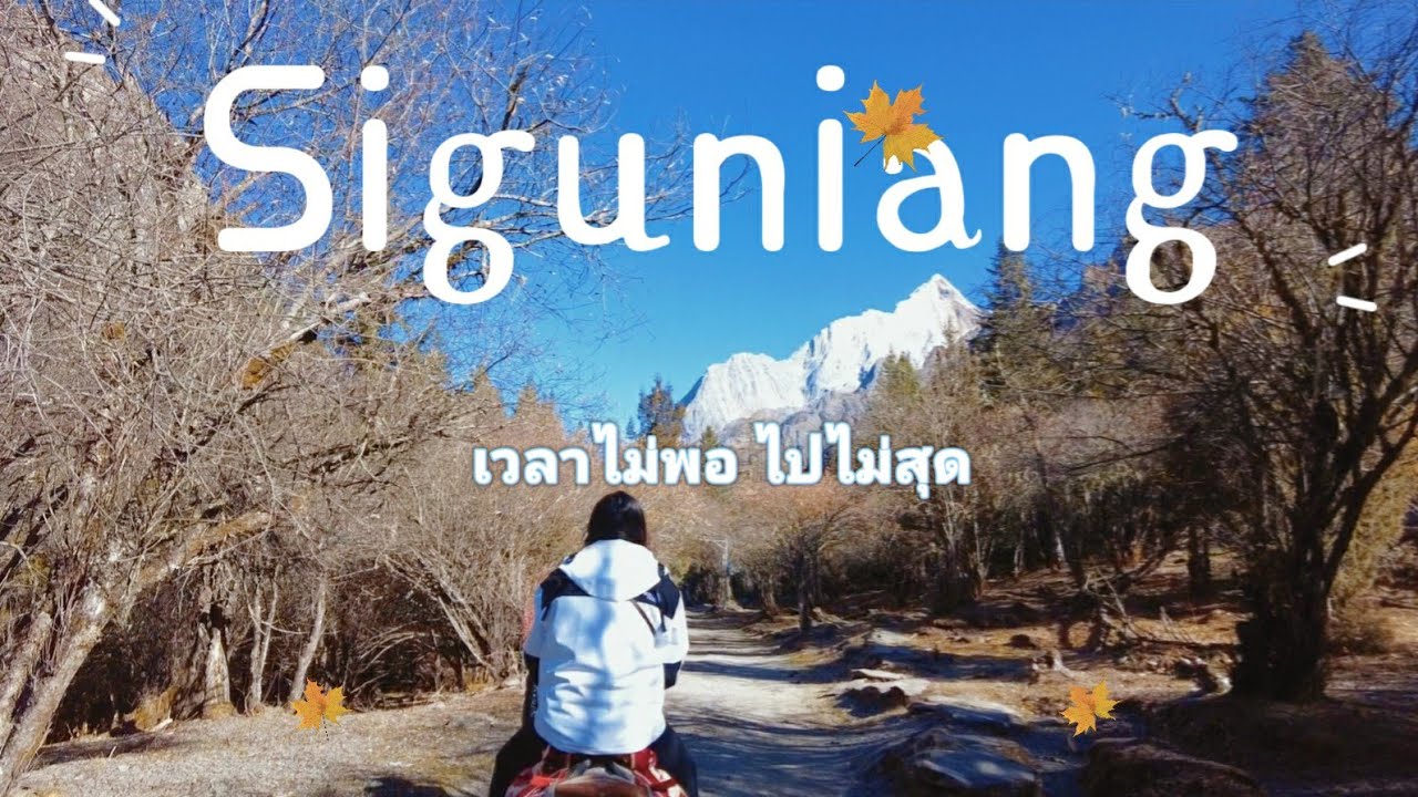 สวยจนต้องอยู่ต่อ ~ Thainese Couple เขยไทยสะใภ้จีน - YouTube