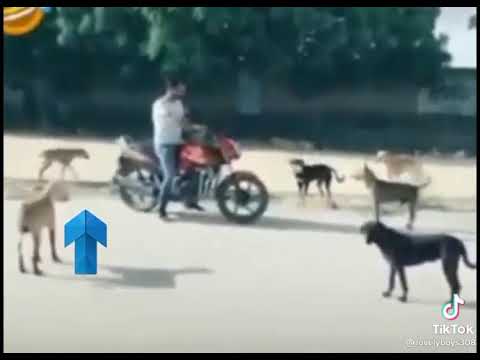 Ukraine right now status | world war III | Russia and Ukraine | whatsapp status