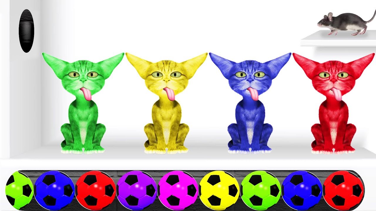 Funny Game Mouse And Cat Play Colorful Balls Learn Colors with Finger ...