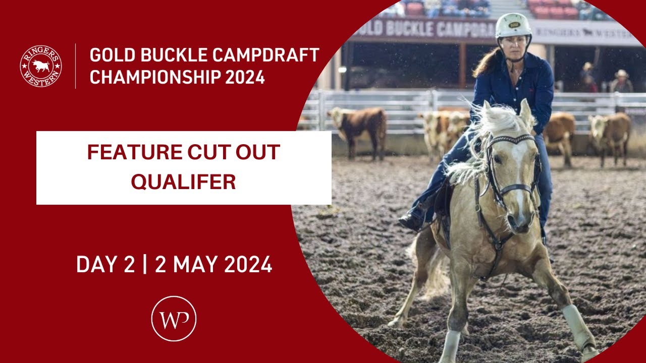 FEATURE CUT OUT QUALIFIER | Ringers Western Gold Buckle Campdraft ...