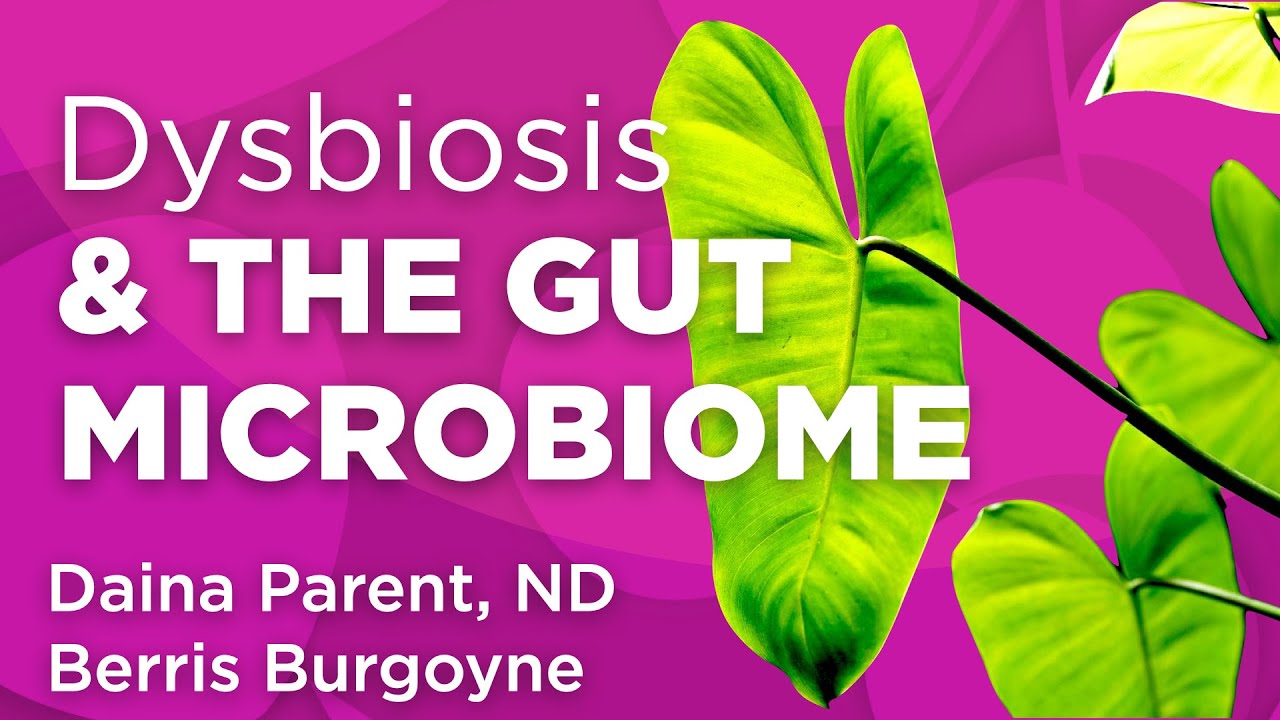Dysbiosis and the Gut Microbiome | WholisticMatters Podcast | Special ...