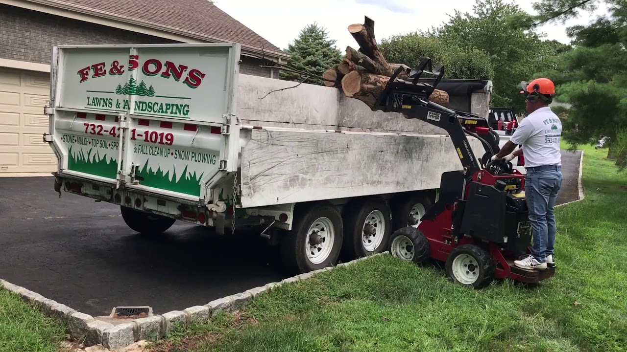 loading dump trailer with my Toro Dingo 320 Diesel tree removal - YouTube