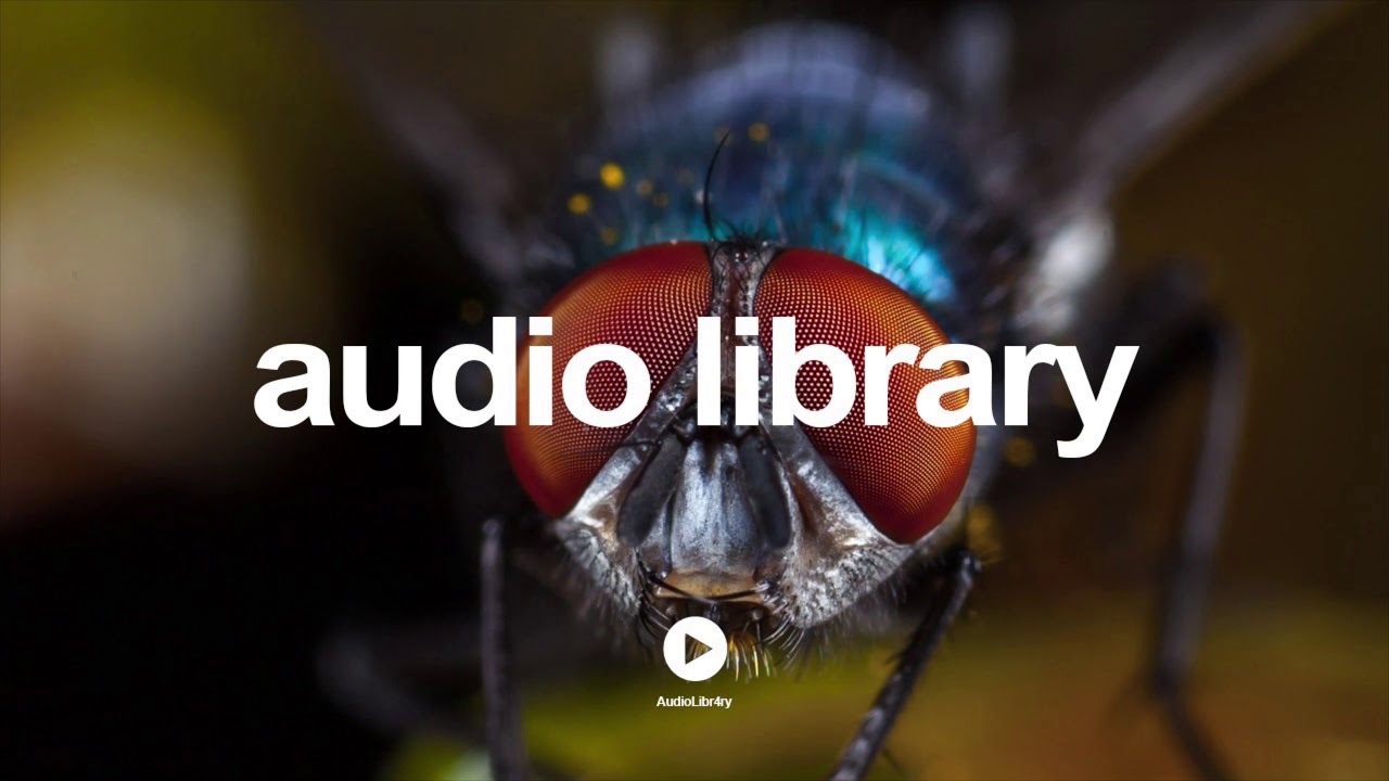 Dorian - Andrew Langdon | Dance & Electronic | Dramatic | video taken ...