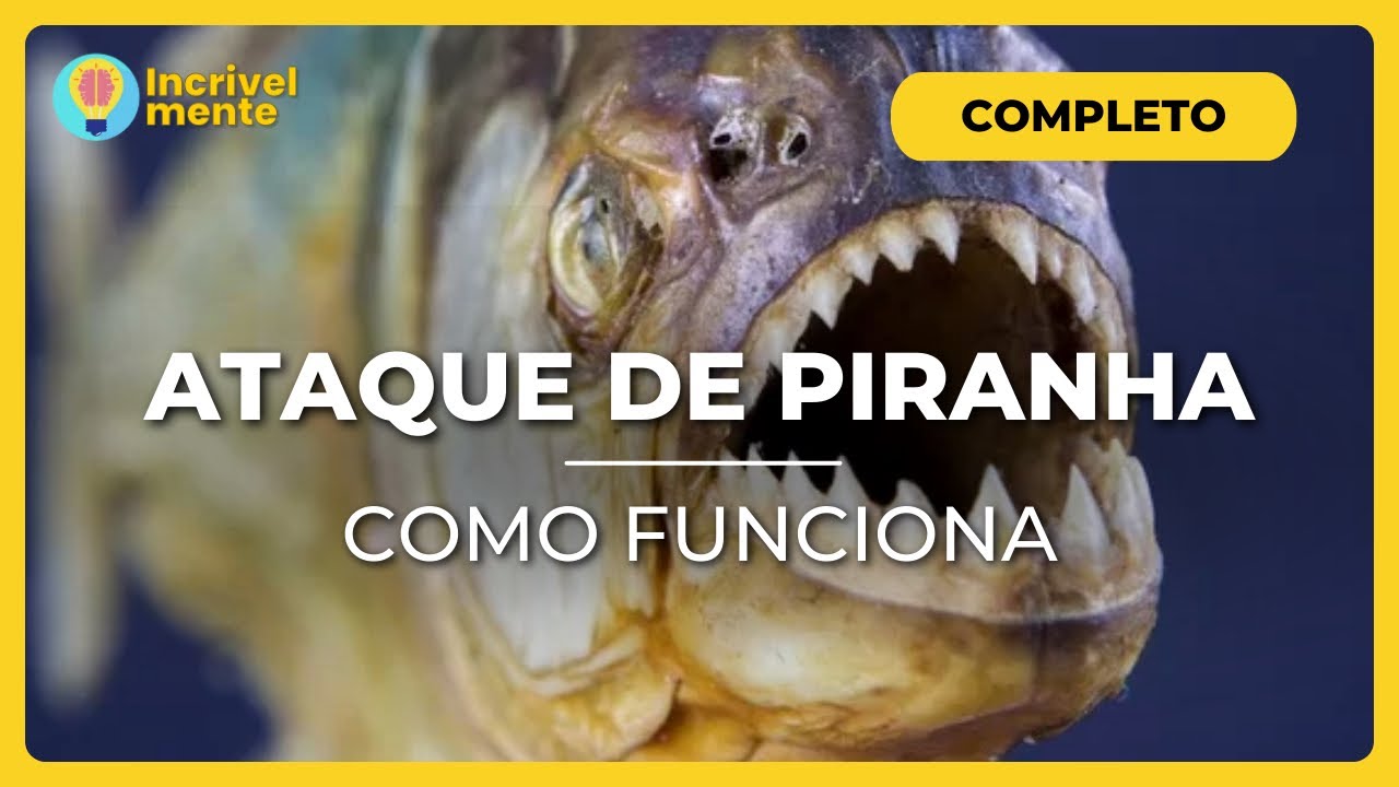 Ataque de Piranha (Entenda como funciona) - YouTube