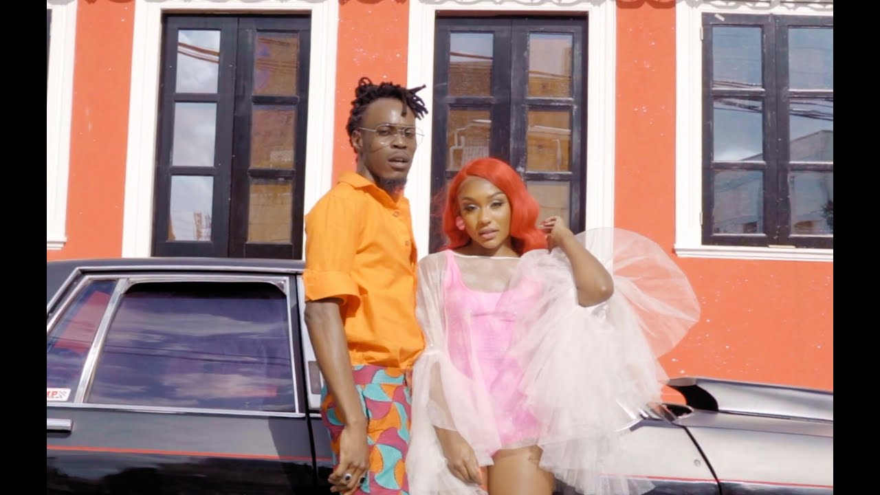 Dingolay (Offical Music Video) - YouTube