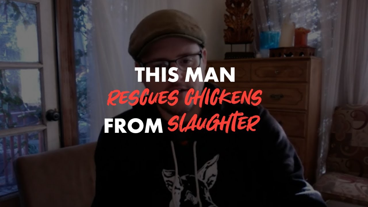 This Man Rescues Chickens From Slaughter - YouTube