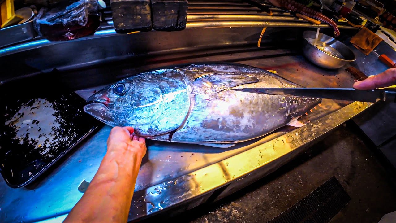 POV: Pro Fish Chef Butchering a Giant Tuna and Speed-Cutting Sashimi ...