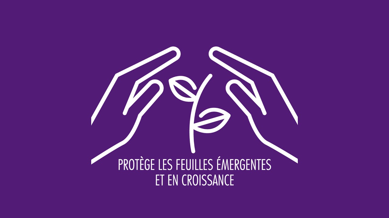 Zorvec™ active | Les bénéfices en vigne - YouTube