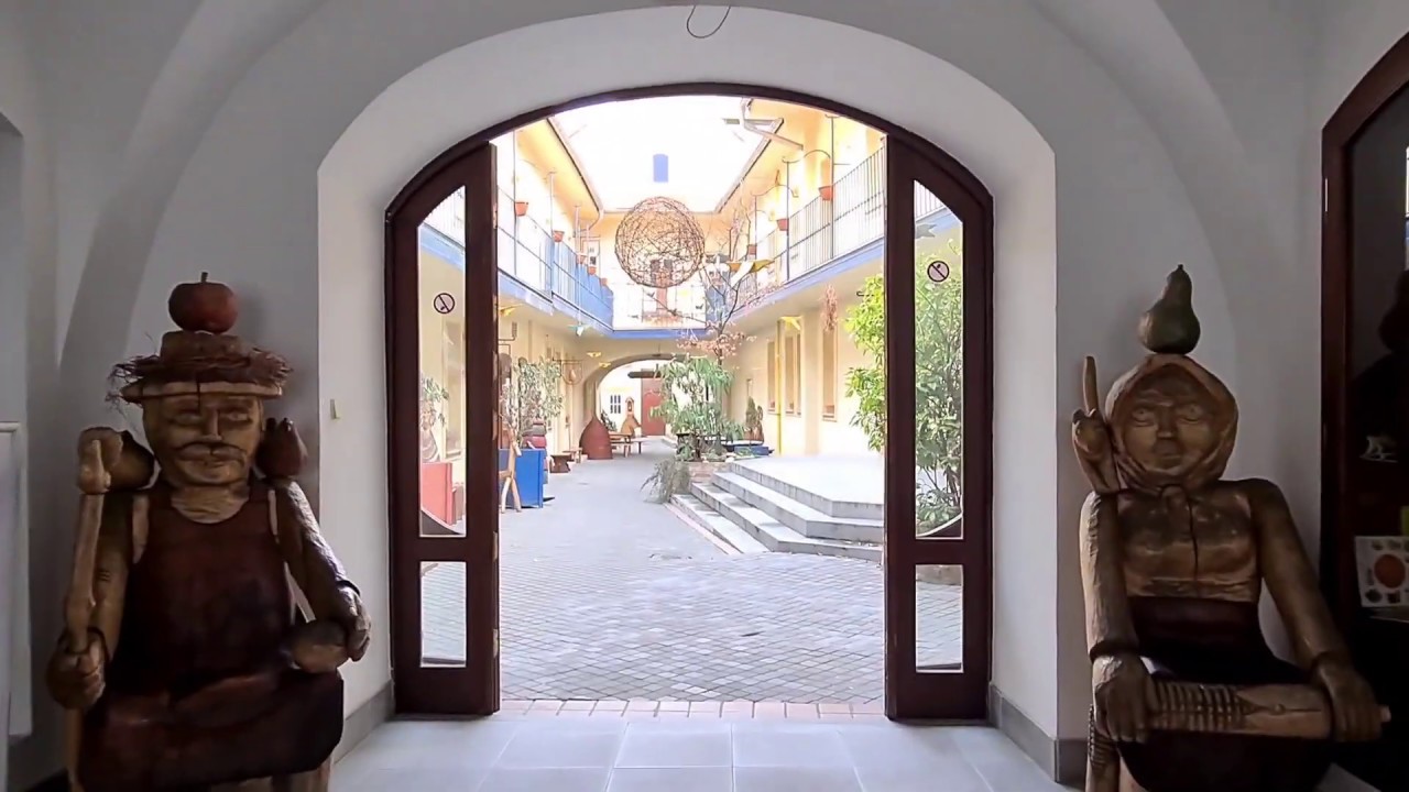 Samsung Galaxy S20+ live focus and super steady shot Full HD video ...