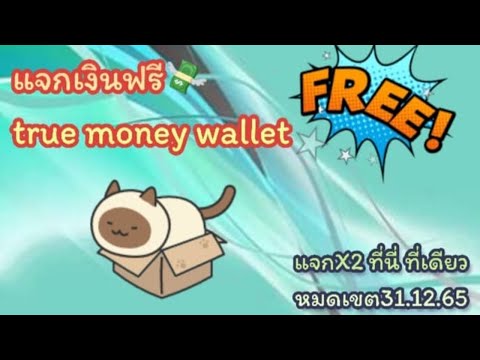 เลือกช่องสะสมรายได้กิจกรรม Adrepay AdRepay.com